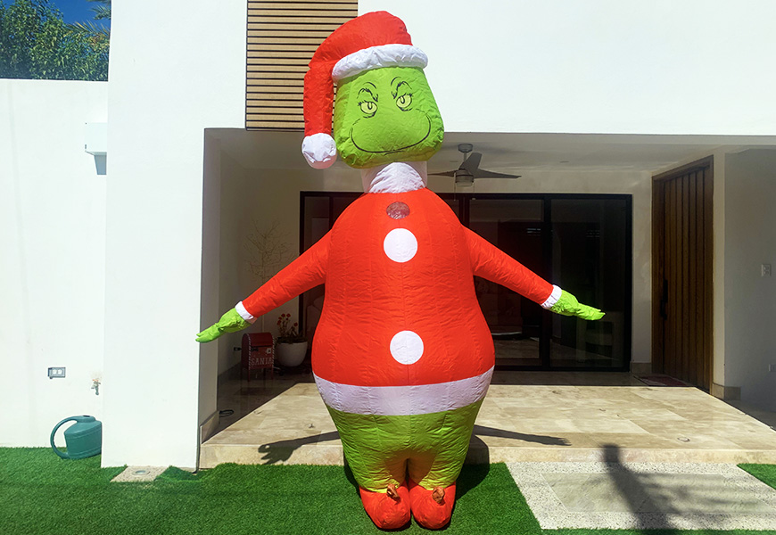 Grinch - Diverticarts