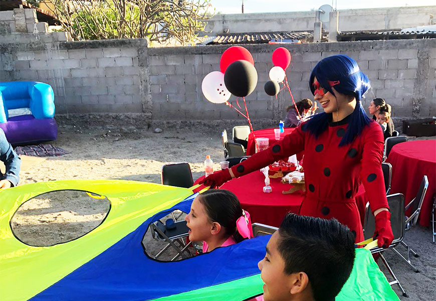 Ladybug - Diverticarts