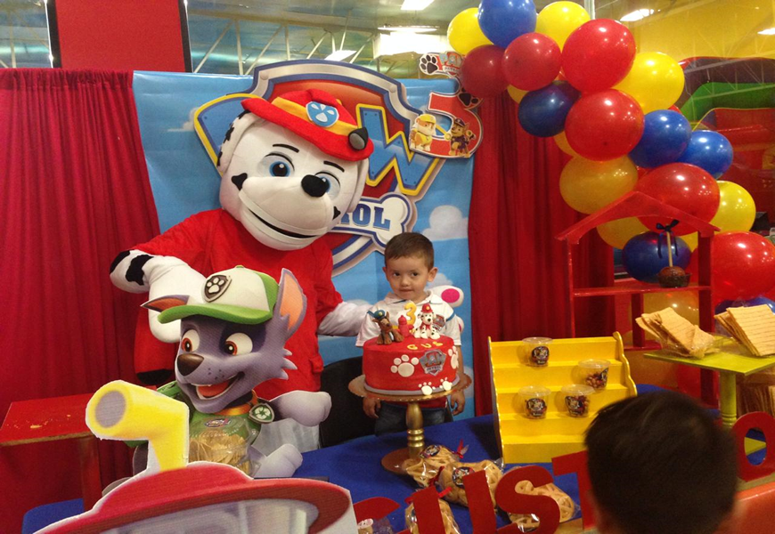 Marshall de Paw Patrol - Diverticarts