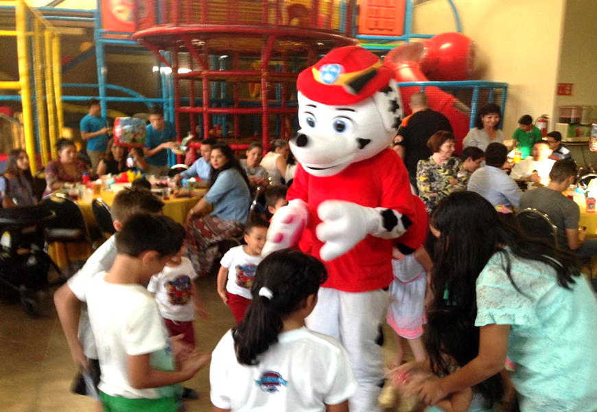 Marshall de Paw Patrol - Diverticarts